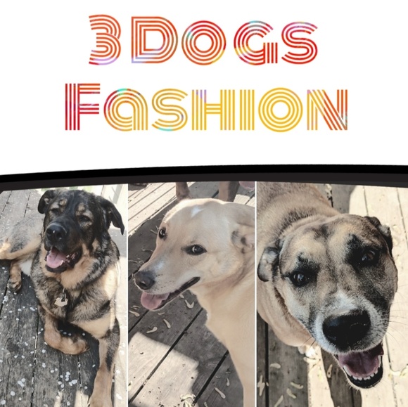 Meet the Posher | Other | Meet Your Posh Ambassador Sherry | Poshmark